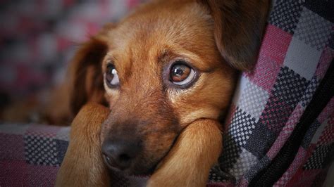 the best of the internet slogging insights hackernoon