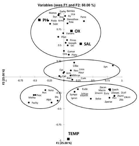 Canonical Correlation Analysis Relationship Between The Abundance Download Scientific Diagram
