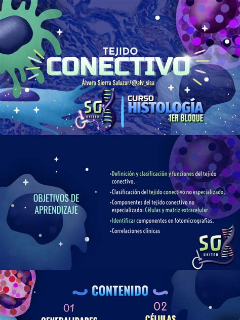 Tejido Conectivo Pdf Tejido Conectivo Macrófago