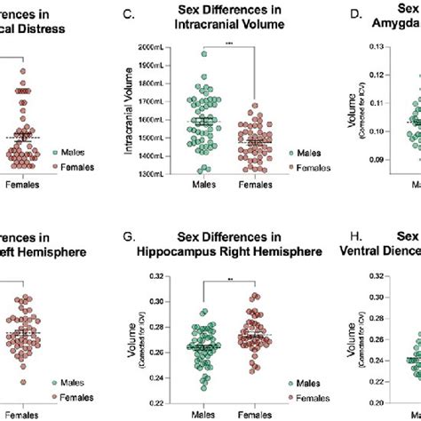 On The Left A Visualisation Of Segmented Structural Brain Volumes Of Download Scientific