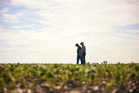crop scouting vs crop intelligence roi taranis