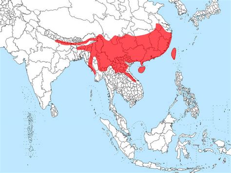 Chinese Pangolin Armored Elegance Artsefact