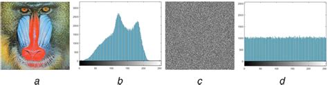Histograms Of The Plain Images A Baboon 512×512 B Histogram Of Download Scientific Diagram