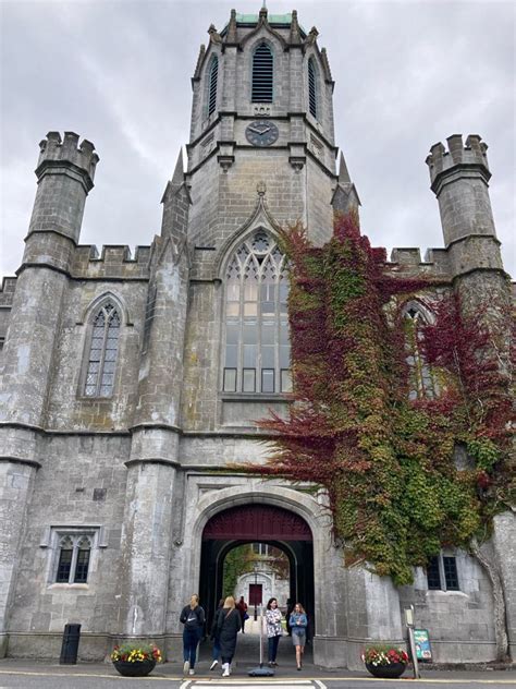 Tá An áthas Orm A Chur In Iúl Gur Ghlac Mé Tairiscint Ar Scoláireacht