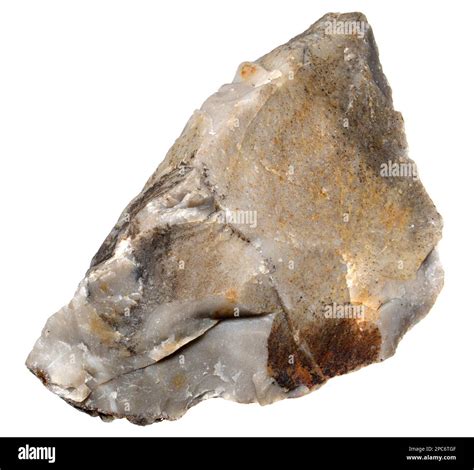 Flint Sedimentary Cryptocrystalline Form Of Quartz C5cm Across Stock