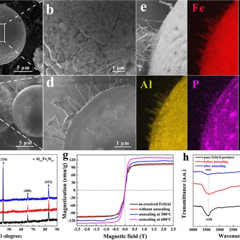 Sem Images Revealing The Surface Morphology Of The Core Shell
