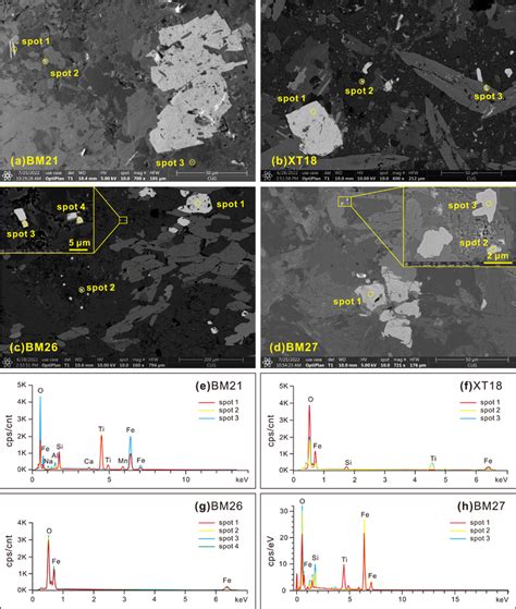 Scanning Electron Microscopy Sem Micrographs A D And Energy