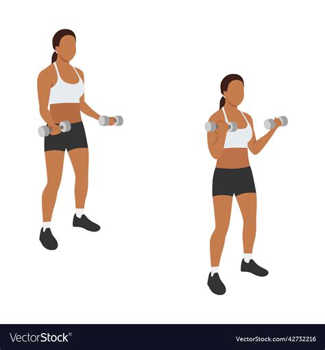 Woman Doing Bicep Curl Exercise Flat Royalty Free Vector