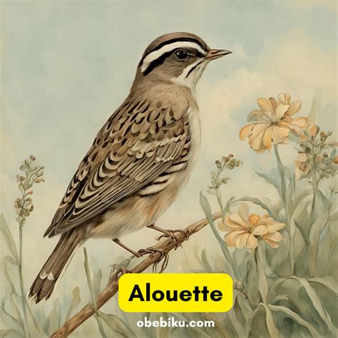 Alouette Lyrics Obebiku