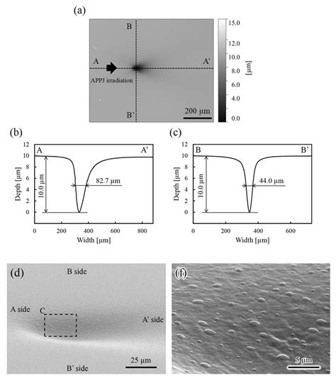 White Light Interference Microscope Image A Surface Topography Of The White Light Interference Microscope Image A Surface Topography Of The