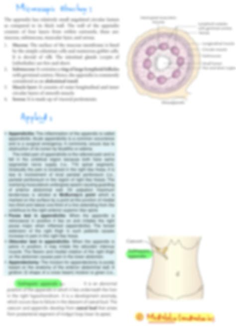 Solution Anatomy Of Abdominal Organ Vermiform Appendix Studypool
