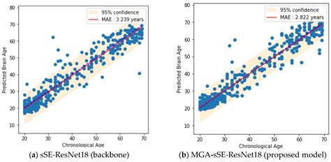 Brain Age Prediction Using Multi Hop Graph Attention Combined With Convolutional Neural Network