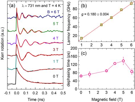 9 Fits To The Kerr Rotation Of Optically Induced Spin Polarization For