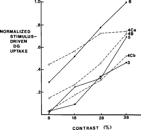 Figure 3 From Functional Anatomy Of Macaque Striate Cortex Iv Contrast And Magno Parvo