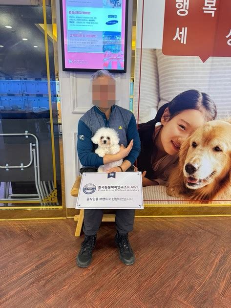 비숑프리제 두부 비숑프리제무료입양사이트 포메라니안무료입양사이트 말티즈무료입양사이트 말티푸무료입양사이트 푸들무료입양사이트 먼치킨무료입양사이트 랙돌무료입양사이트 브리티쉬숏헤어