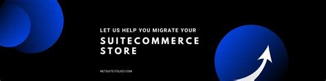 netsuite database schema browser understanding the basics