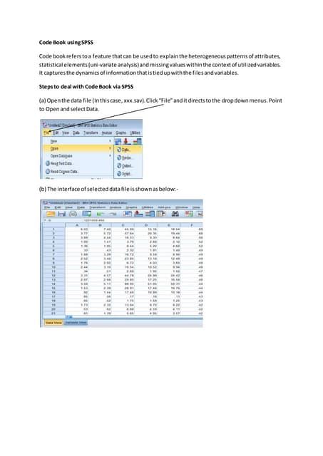 Code Book Using Spss Docx