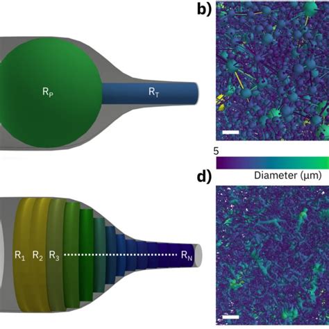 Visual Conceptions Left And Implementation Examples Right Of Download Scientific Diagram