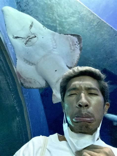 ไม่ดำน้ำก็ดูปลาทะเลได้ ที่ Sea Life Bangkok Ocean World 🐟 แกลเลอรีที่โพสต์โดย Balltasp Lemon8
