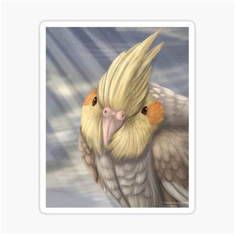 Fluffy Cockatiel Sticker For Sale By Dragonartist15 Redbubble