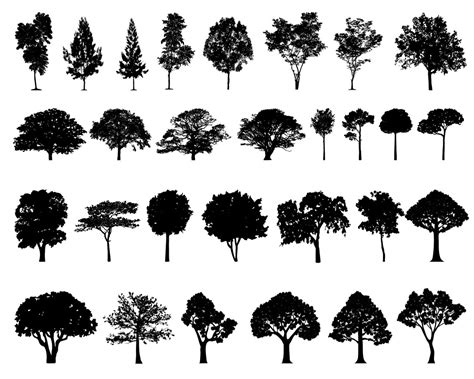 Tree SVG Bundle PNG Trees Svg Pine Tree Svg Oak Tree Svg Etsy