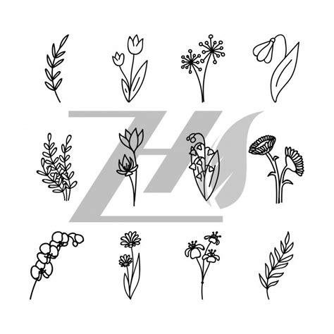 دانلود مجموعه شاخه گل های رنگ مشکی دانلود رایگان فایل لایه باز، Psd