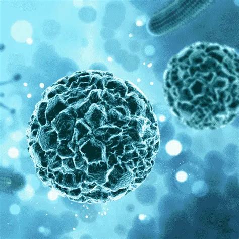 Understanding Different Types Of Lung Cancer Immucura