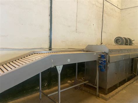 unitec one line peach kiwi sorting line fruit graders