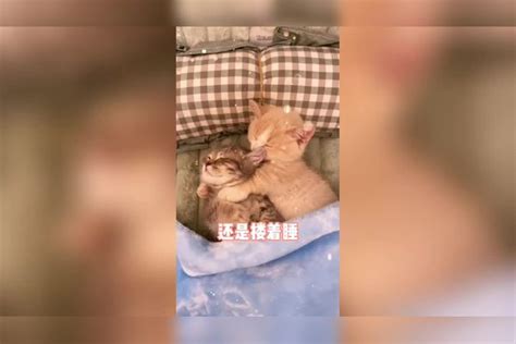 像极了你和女朋友亲亲睡觉后被冷醒的样子女朋友样子