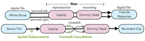 Illustration Of The Signal Chain In The Objective Experiment Download Scientific Diagram