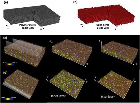 Micro Ct Scanning Can Be Used To Analyze The Pore Distribution Of The Download Scientific