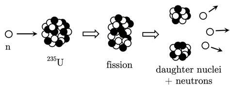 1 Neutron Induced Fission Of The 235u Nucleus Source 54