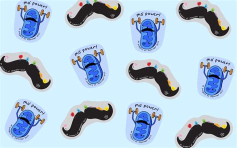 Keely Tan Ph D On Linkedin Linkedin Stationery Medicalresearch Fundraise