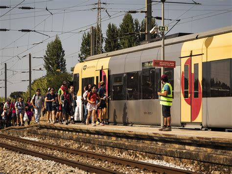 Scout Youth Programme Wosm