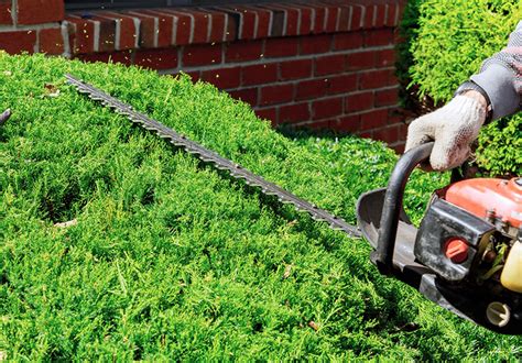 Tree Felling And Lawn Installation Services Pe And Surrounding Areas