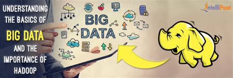 understanding the basics of big data importance of hadoop