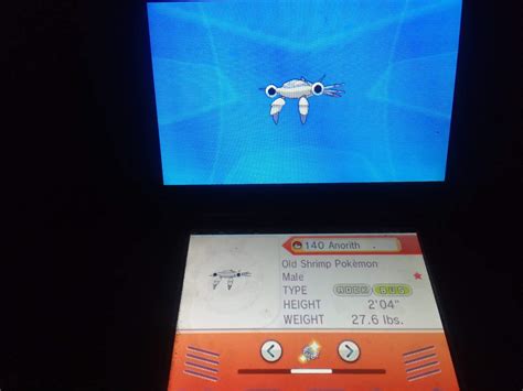 Fossil Reset Anorith Shiny Pokemon Amino Amino