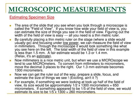 PPT Using The Microscope PowerPoint Presentation Free Download ID 3434192