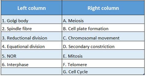 Wbbse Solutions For Class 10 Life Science And Environment Chapter 2 Cell Division And Cell Cycle