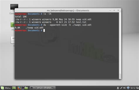 How To See The Disk Space Usage For A File Or Folder Using Linux Terminal