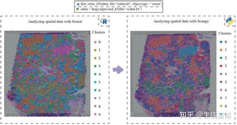 单细胞终极笔记之Seuratanndata h adLOOMSingleCellExperiment 格式互相转换 知乎