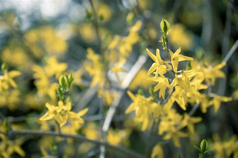 Maheshwaran Shanmugam Photography