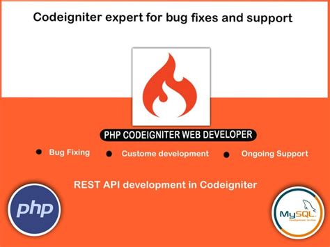 Codeigniter Expert For Bug Fixes And Support Upwork