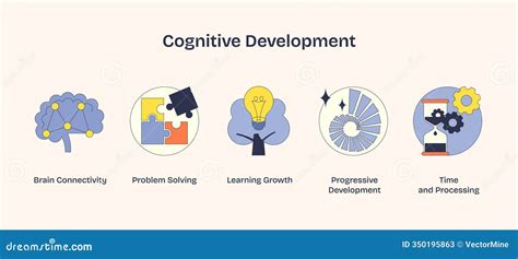 Cognitive Development Progress Stages By Age Vector Illustration Diagram