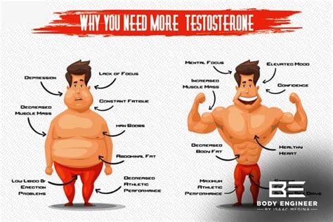 Why You Need More Testosterone Isaac Medina Body Engineer