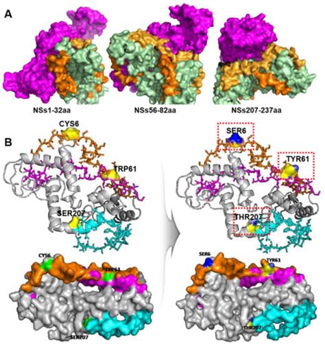 Viruses Special Issue Severe Fever With Thrombocytopenia Syndrome Virus 3 0