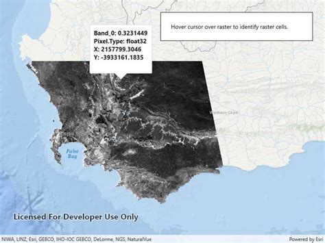 Identify Raster Cell Arcgis Maps Sdk For Net Esri Developer