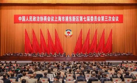 “侨”基层 浦东新区侨联界别政协委员在区政协全会上踊跃建言法国新闻华人头条