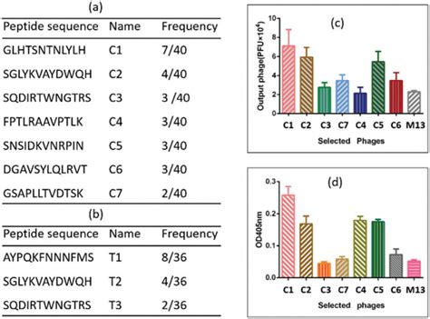 Characterization Of The Binding Affinity Of The Selected Peptides
