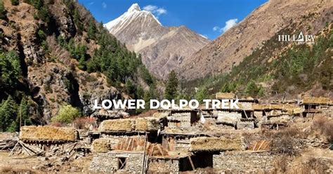 Where Exactly Is Lower Dolpo In Map Hillary Step Treks